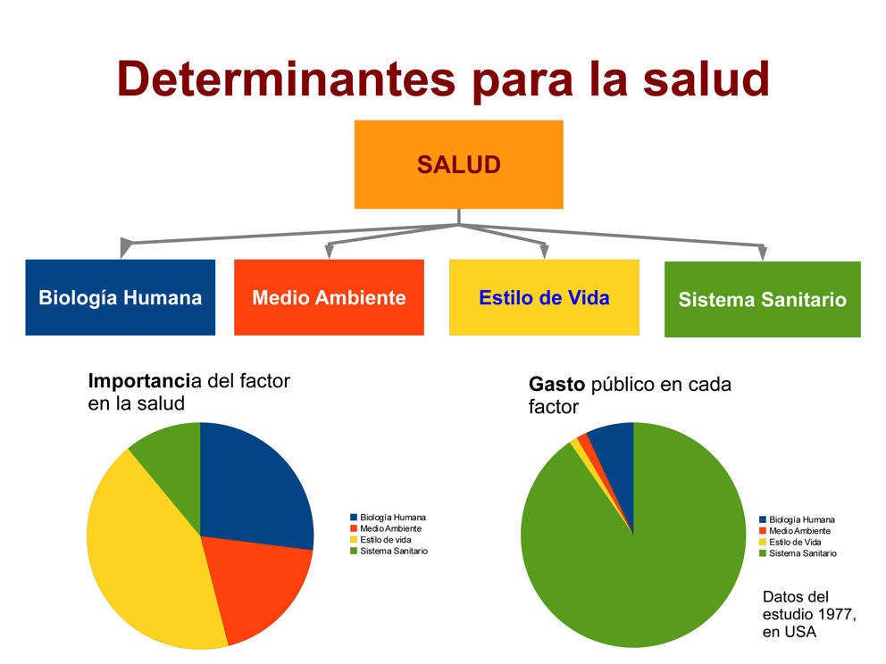 Estudiantes de medicina; amando la salud publica: DETERMINANTES DE LA SALUD Estudiantes de medicina; amando la salud publica: DETERMINANTES DE LA SALUD