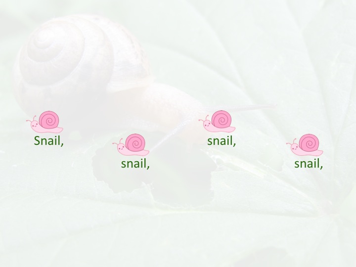 Snail, Snail and Snail Mail - Music a la Abbott - Amy Abbott - Kodály ...