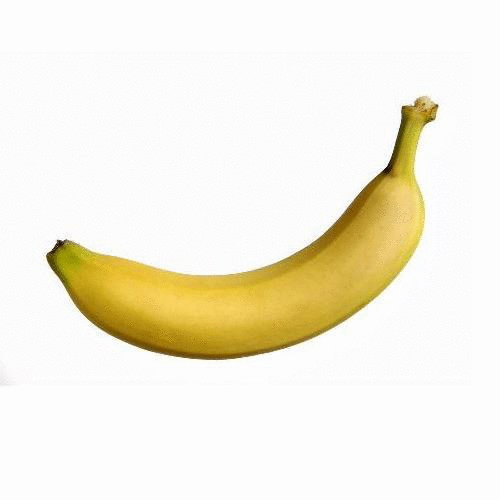 Banana Plant Growing