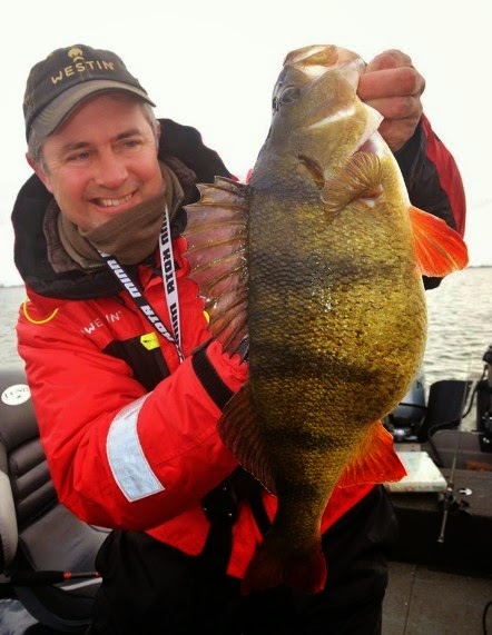 World Record White Perch