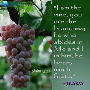 Twelfth Hour Prophetic Ministry: Abiding in the Vine