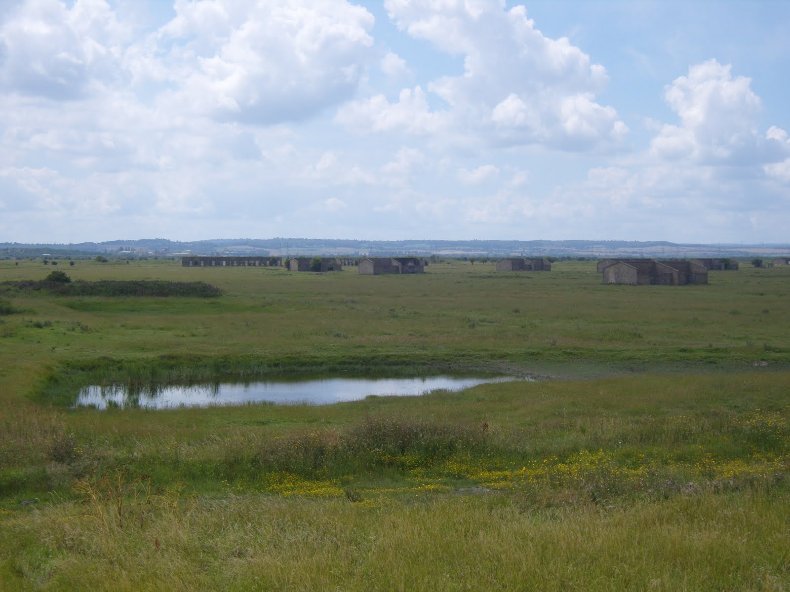 Notes from Kent's Hoo Peninsula: July 2011