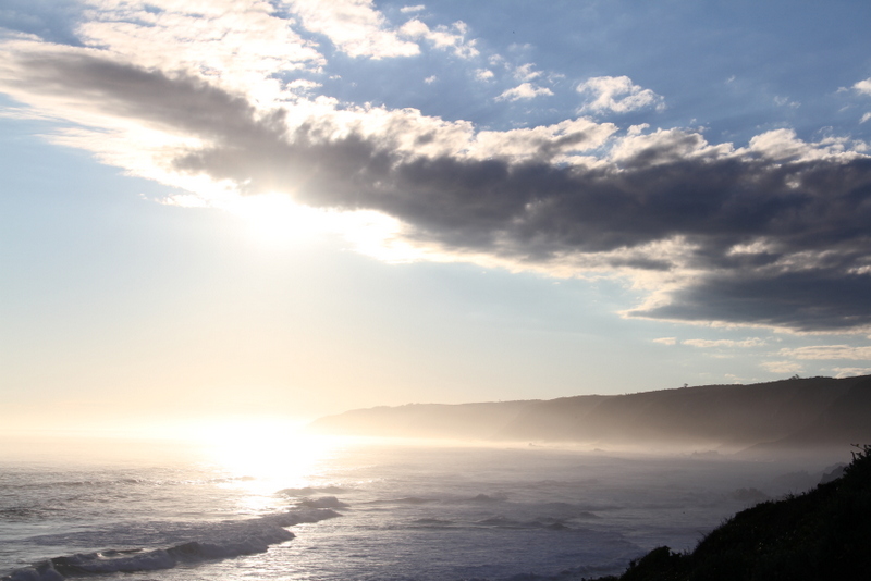 Under our own olive tree: Oubos