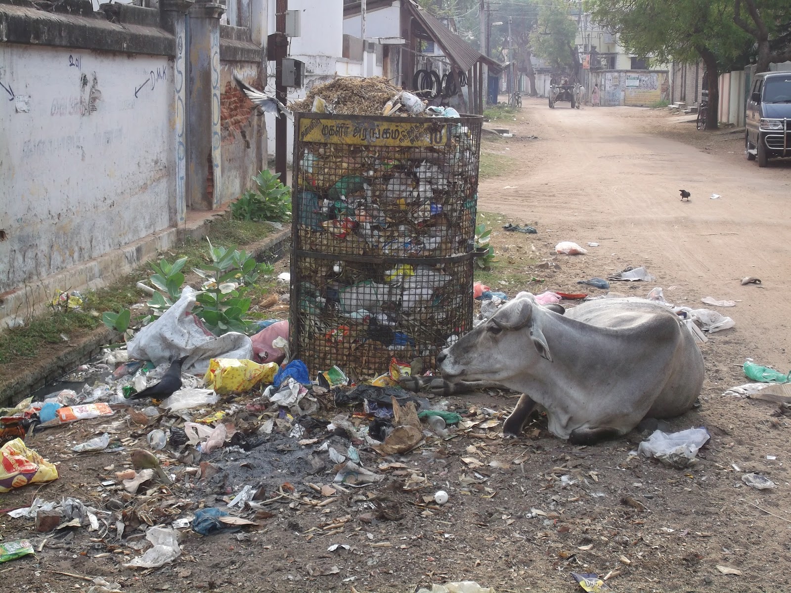 சமூக விழிப்புணர்வு பக்கங்கள்: குப்பைத்தொட்டி