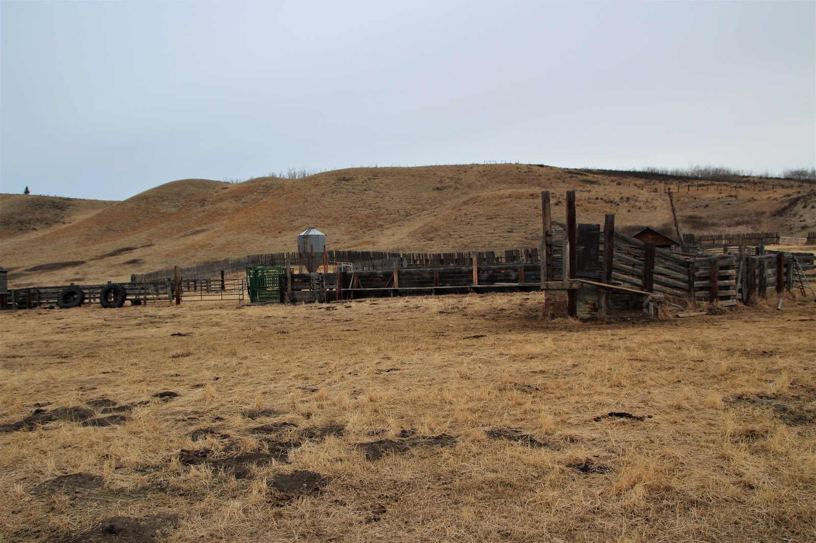 Get Me Outdoors: Glenbow Ranch Provincial Park