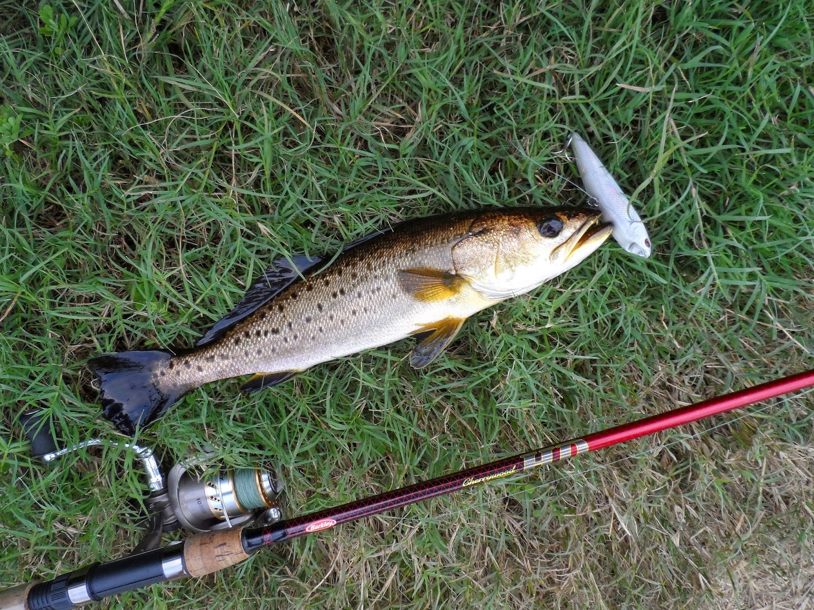 Mosquito Lagoon & Indian River Fishing: Karen Scores Another 30 Inch ...