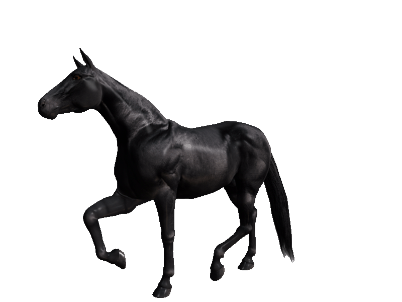 GIFS ANIMADOS: GIFS DE CABALLOS