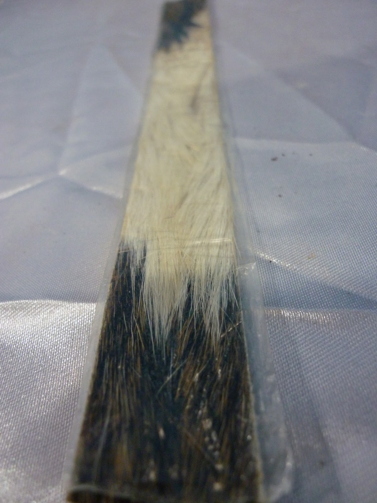 Wafak Dan Azimat Maharaja: March 2011