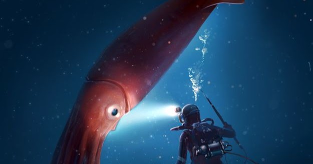 Strange animals: Calamar Colosal