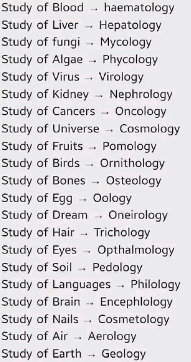 EOI CARTAGENA C1 y C2 INGLÉS: Suffix "-ology" /-ɒlədʒi/