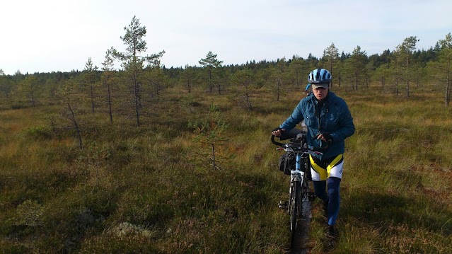 SPROTTT, see on multisport!: RMK Ikla - Oandu matkarada jalgratastel