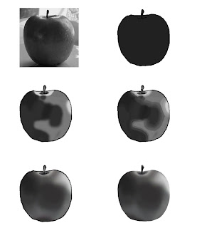 ILICarrieDoll: Shading Training: Apple Grayscale