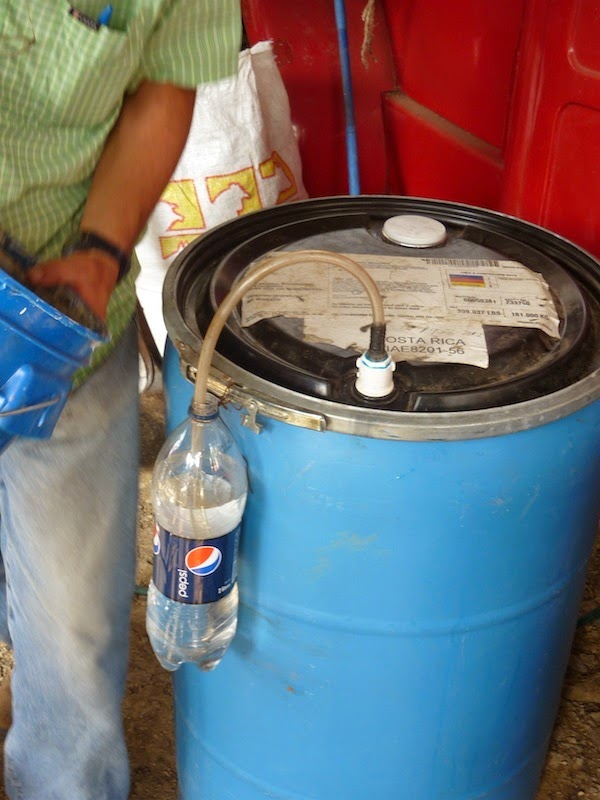 Huerta de Ciudad: Bioles en la agricultura organica