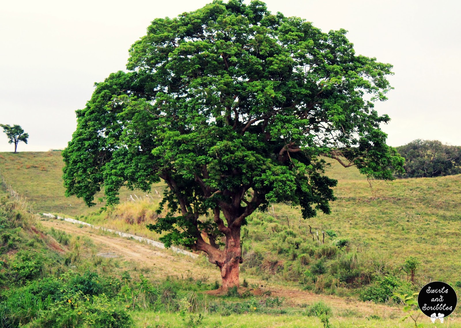 Family Outing: Tagaytay @ Estancia, Our Lady of Monte Maria ...