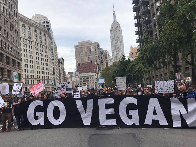 VEGANISM: A TRUTH WHOSE TIME HAS COME: 125+ Photos ~ VEGAN -Signs-of ...