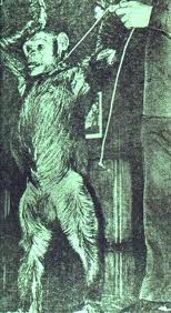 Oliver Sang Humanzee | Si Budi