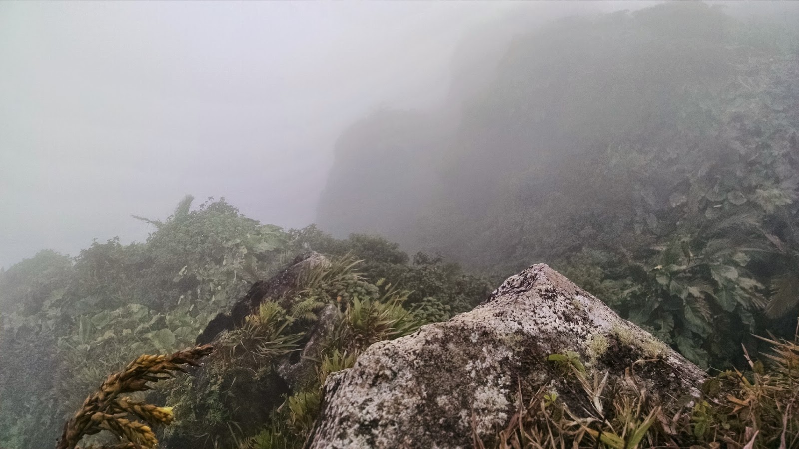 Close Quarters: Hiking Saba: Mount Scenery