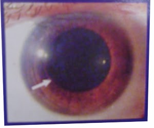 Selamat Datang... Silakan memanfaatkan layanan kami, semoga sehat ...