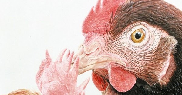 El arte es su máxima expresión : Fotos de cuadros de animales pintados ...