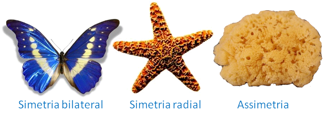 Portefólio de Biologia-Geologia