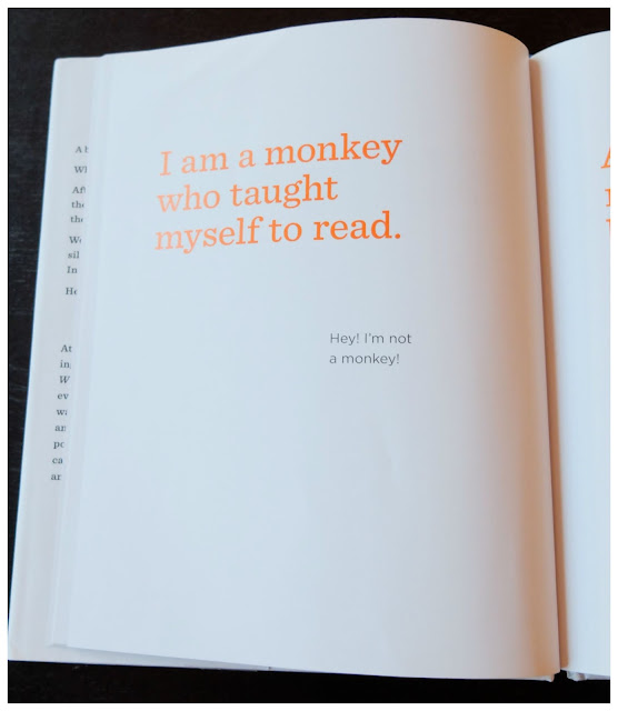 The Book With No Pictures - rubber boots and elf shoes