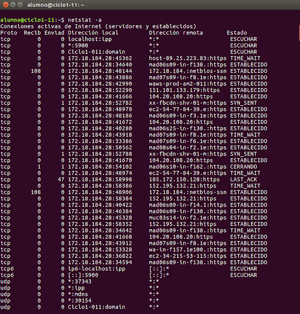 Comando netstat Linux