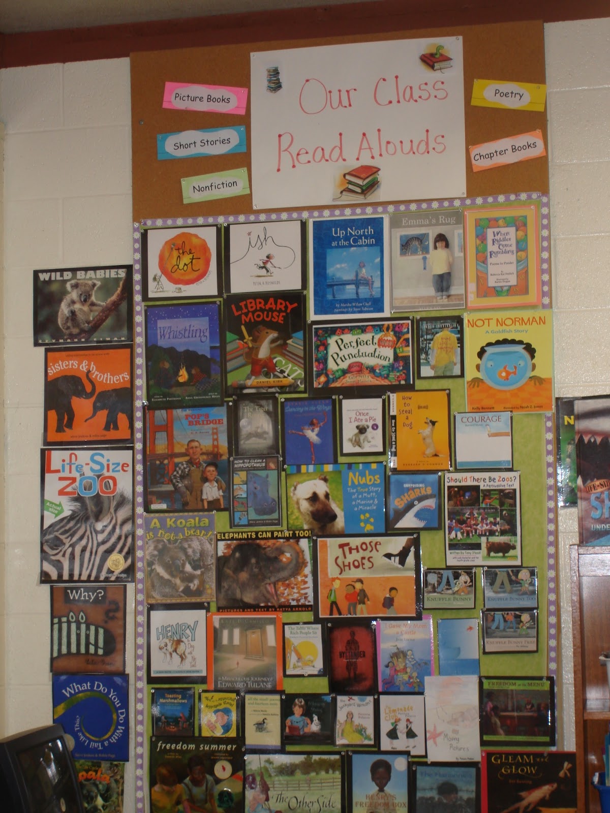 Two Reflective Teachers: Bulletin Boards and Charts