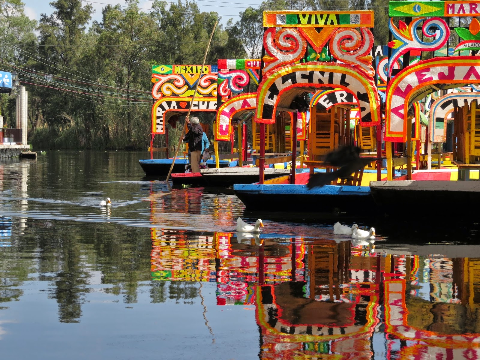My Remodeled Life: Day Six - Mexico City, Xochimilco