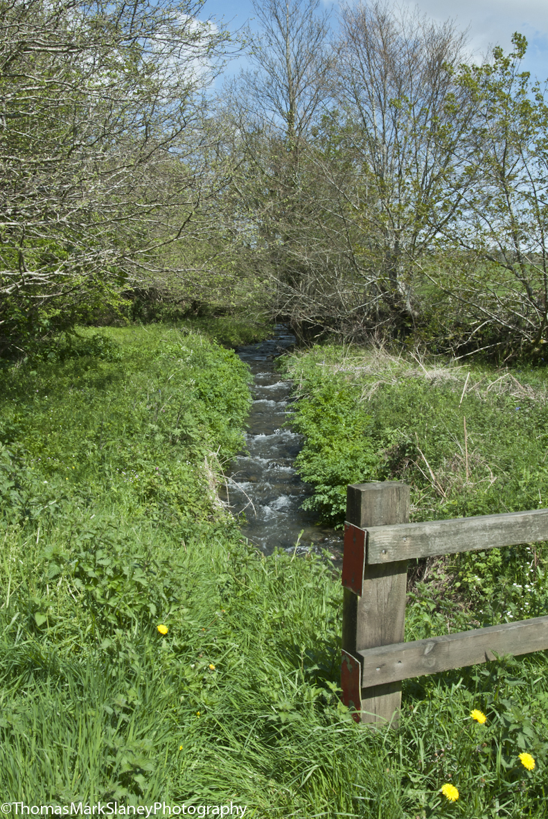 Thomas Mark Slaney Photography