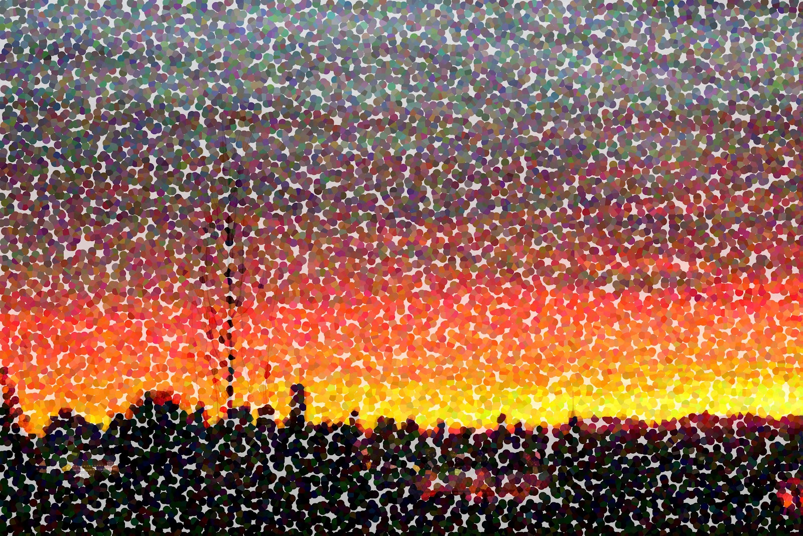 My Professional Portfolio: Image Making Ecology