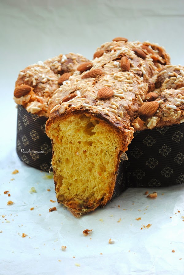 Pane, burro e alici: La mia colomba, anzi....quella di Di Carlo!