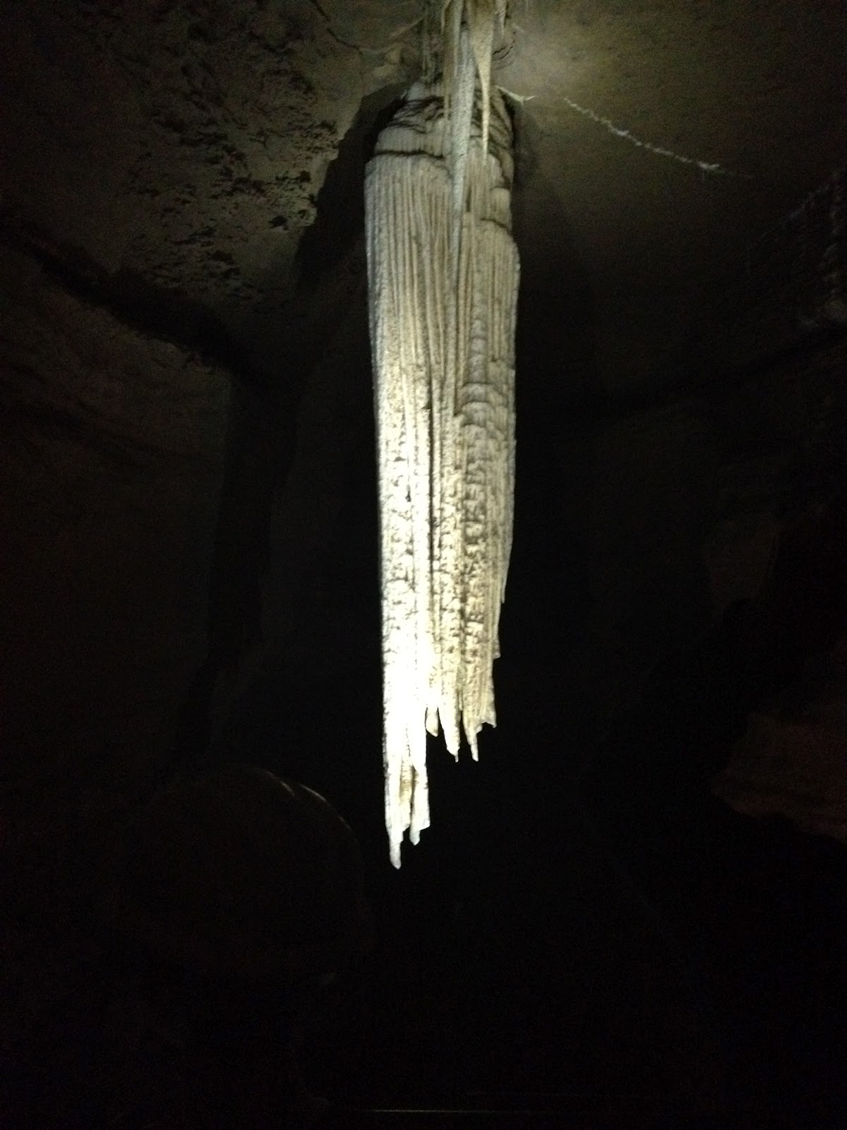 From Sunflowers to Spurs: Ireland Trip Part 4...Cliffs of Moher and ...