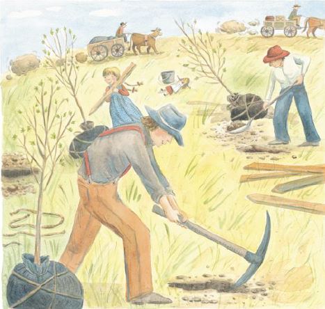 Arbor Day Square is a great book to teach your child the importance of ...