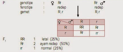 Gen Letal Resesif, Dominan, Letal Manusia Dalam Hereditas Penerapan Dan ...