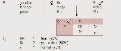 Gen Letal Resesif, Dominan, Letal Manusia Dalam Hereditas Penerapan Dan ...