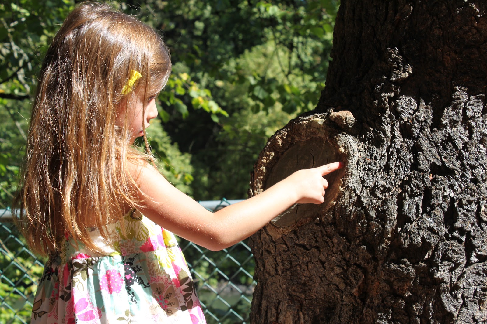 Green Owl Art: Nature Walk & Paint
