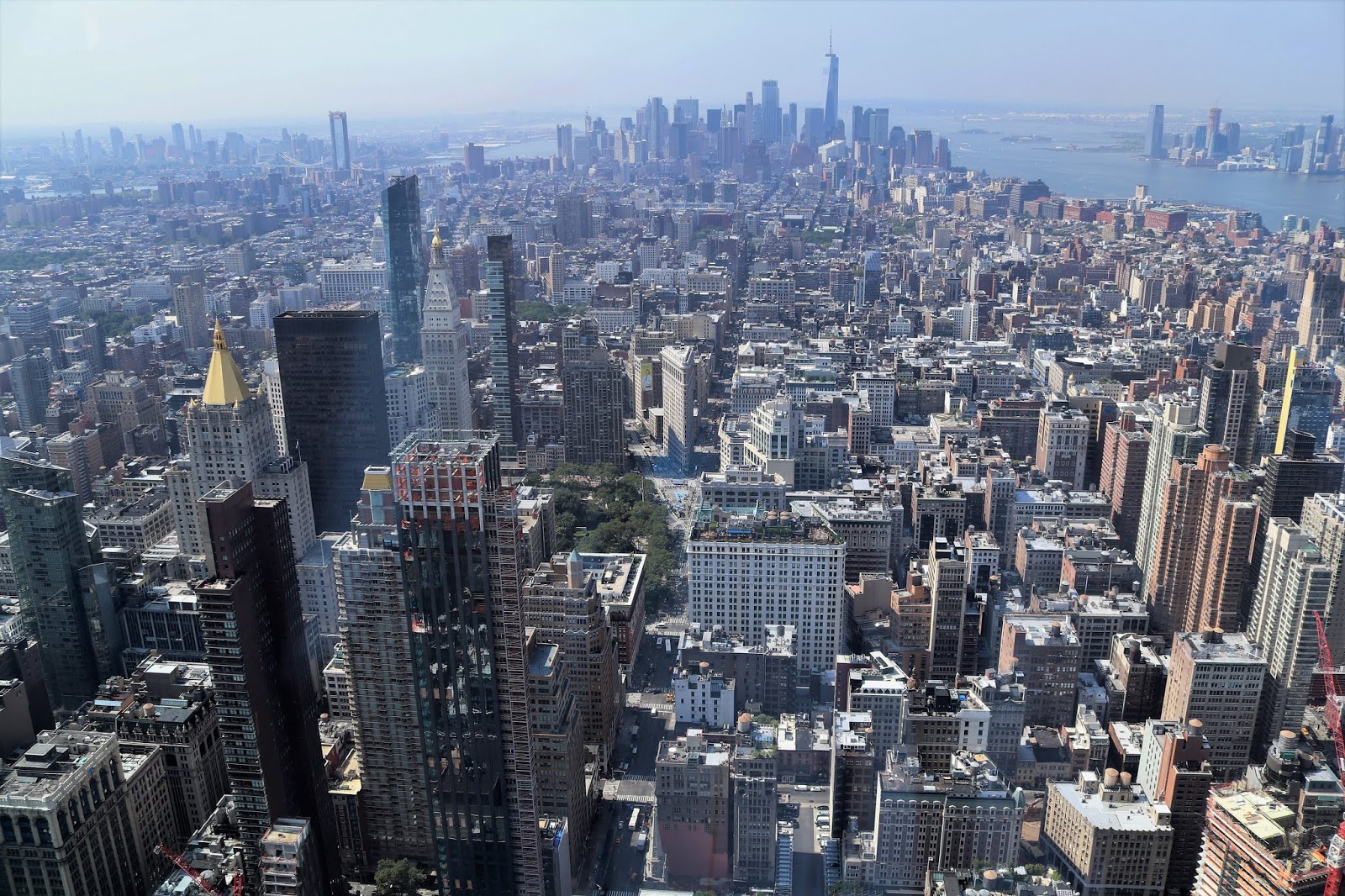 Jardín de Encuentro de Jesús Taboada: NEW YORK, BOSQUE DE CEMENTO Y ...