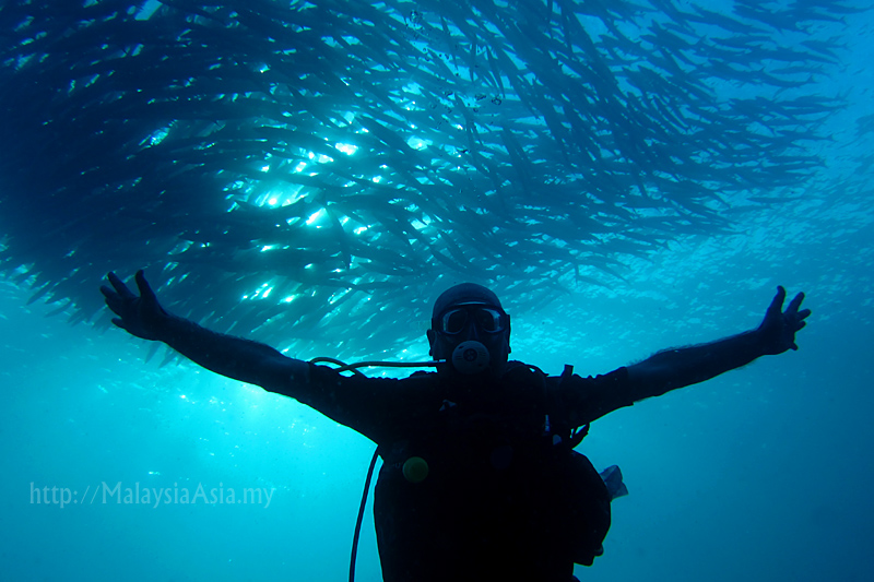Sipadan Island Diving Package - Malaysia Asia