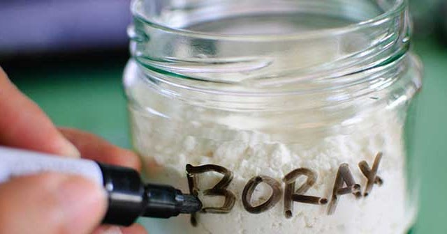 Boraks Nedir? Boraks Nerede Satılır? Boraks Fiyatı