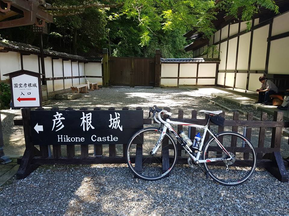 Movimiento perpetuo (Artículo de Sofía Ormazabal)