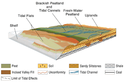 Learning Geology: Interpreting past depositional environments