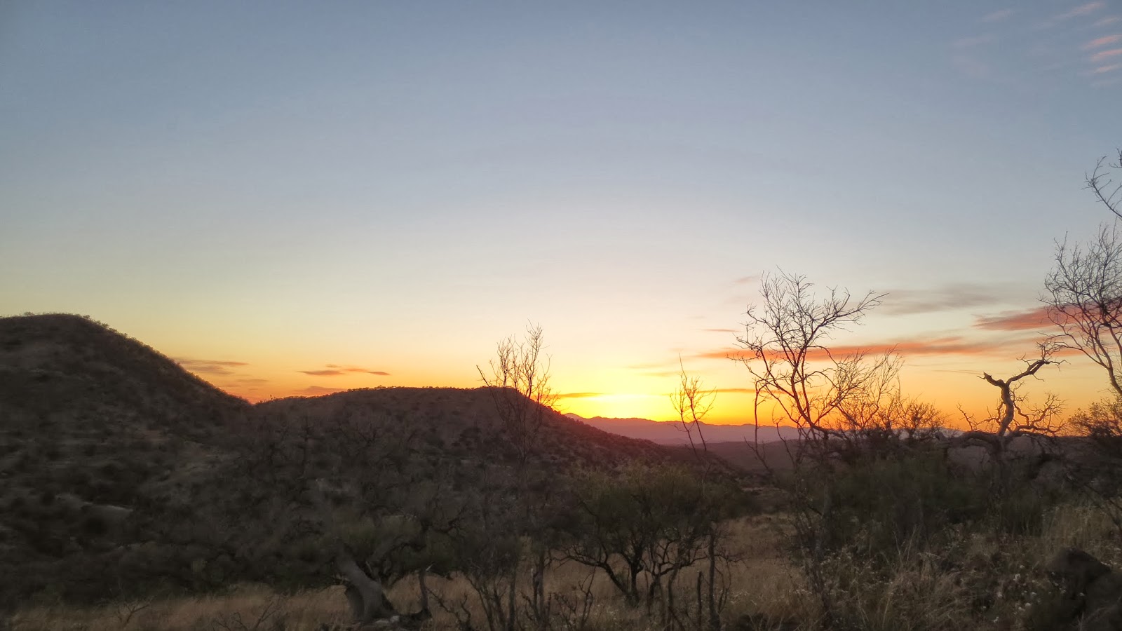 Goulds Turkey Hunt: 2013 Gould's Turkey Hunt-Joe Bittner's Archery ...