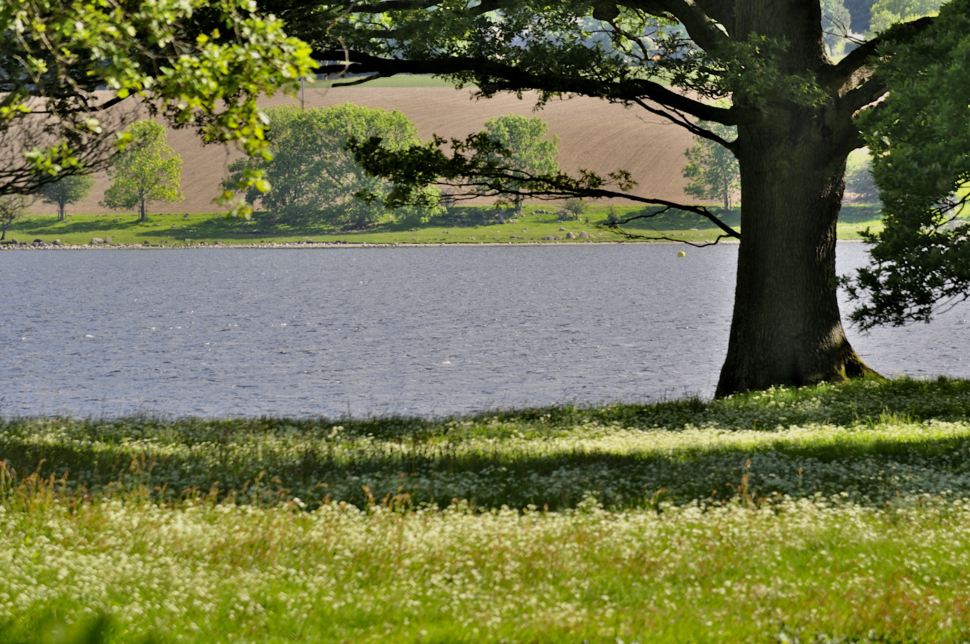 The Art of Photography: Horizontal and vertical lines