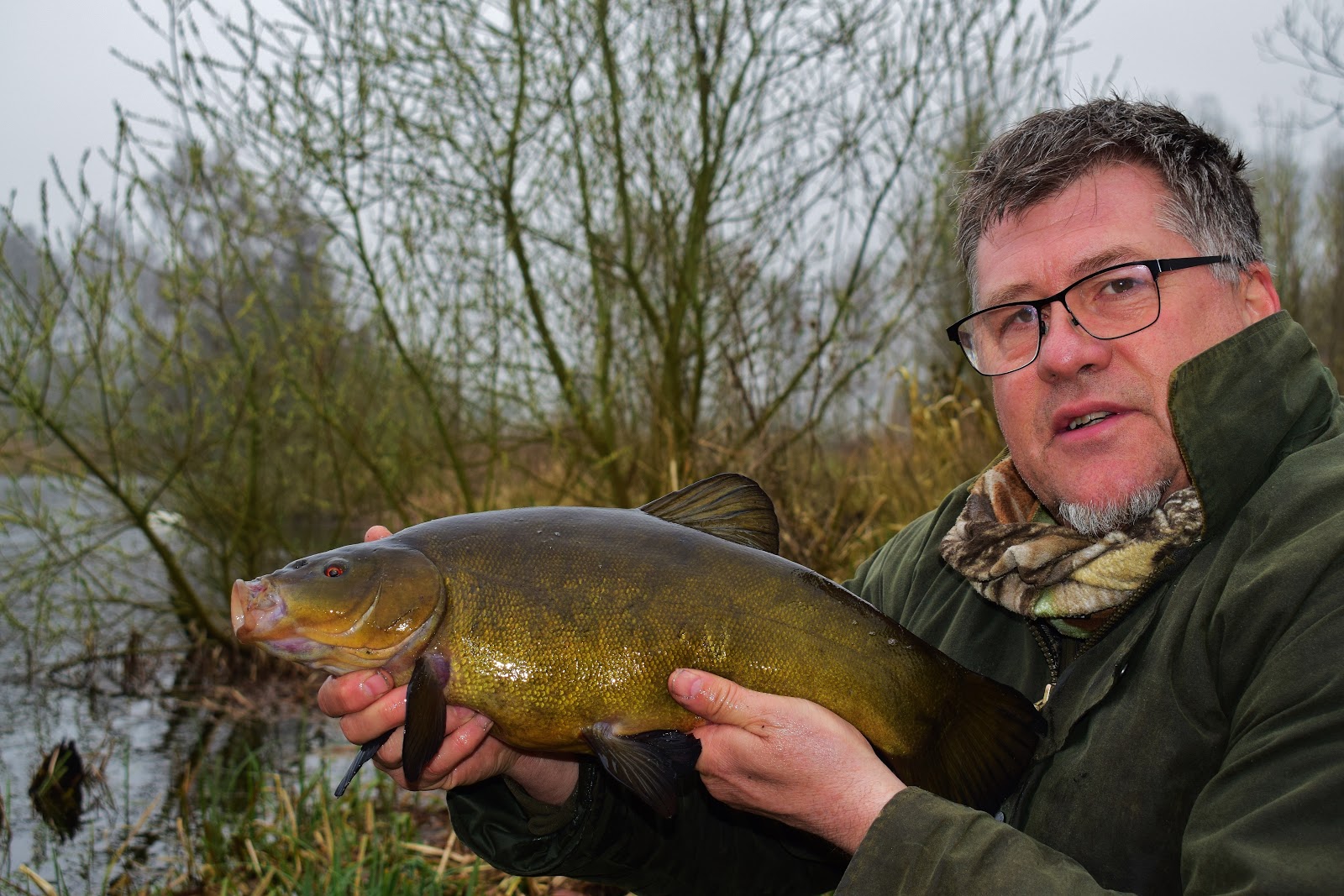 Bureboyblog: Tinca tinca