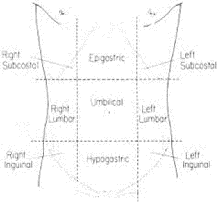 Abdominal Assessment | notes.nursium.com