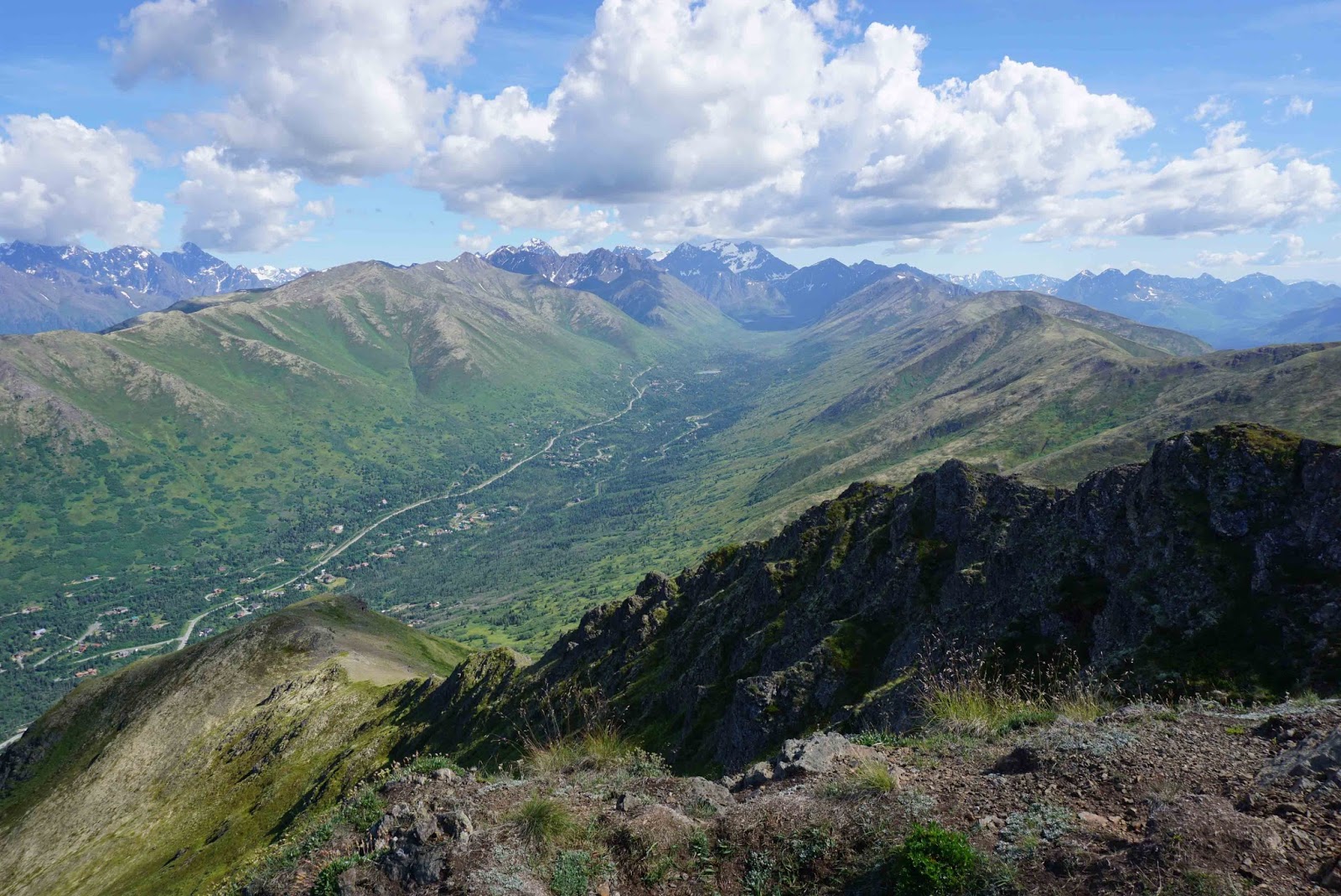 The Adventures of Asher & Journey: Mt Gordon Lyon