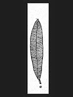 Sahabat Alam: Bangun (Bentuk) Daun (Circumscripyio)