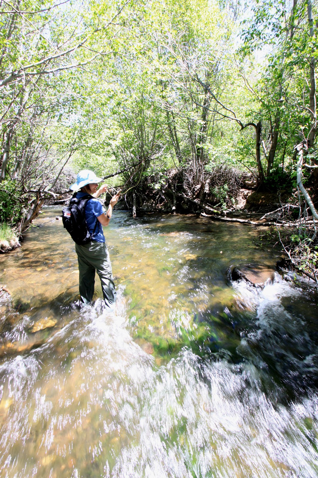 River Tales: Fremont, UM Creek, Bicknell Bottoms Kick the summer off right