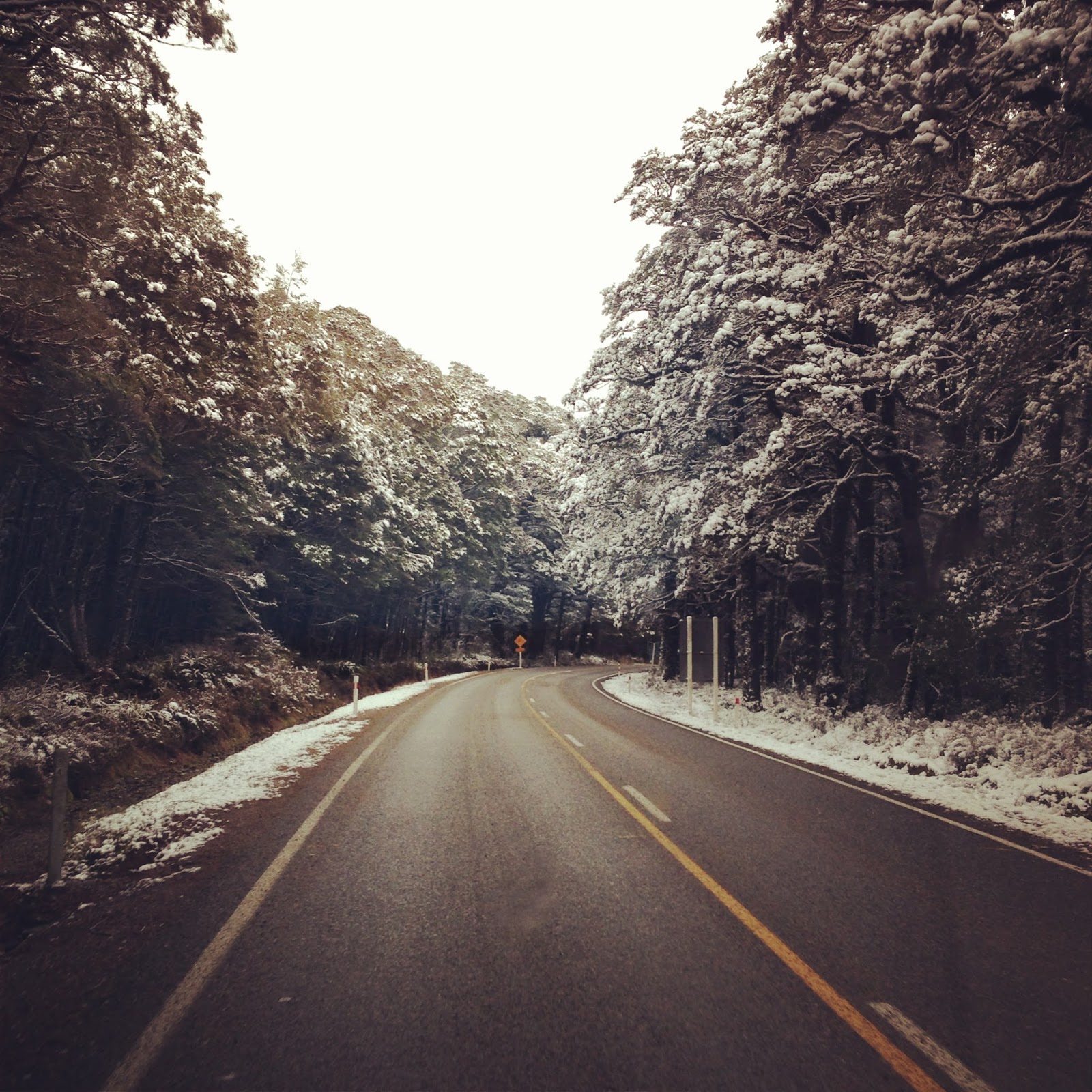 Wonderlust - n. a great desire to travel and rove about
