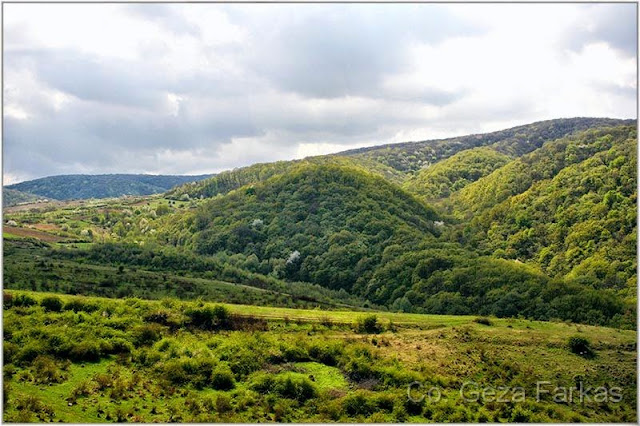 National parks of Serbia: Fruška Gora National Park